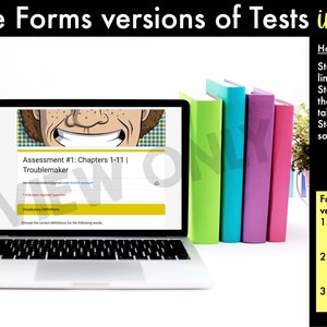 Troublemaker Novel Study Unit | Literature Guide | Comprehension ...