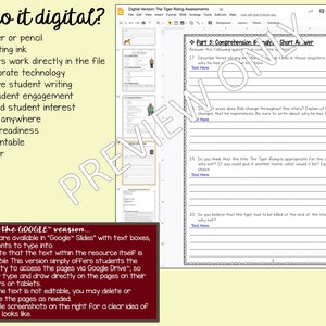 The Lion, the Witch, and the Wardrobe Tests | Quizzes | Assessments - Etsy