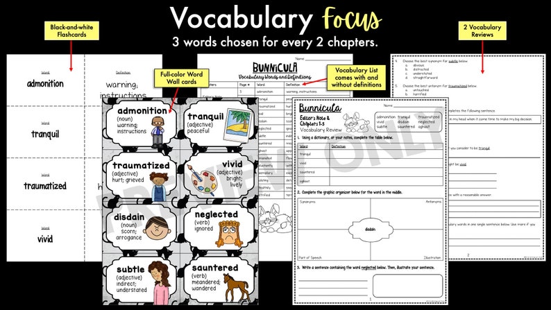 Bunnicula | Comprehension and Vocabulary by Chapter | Guided Reading ...