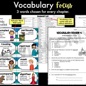 Runaway Ralph Novel Study Unit | Literature Guide | Comprehension ...