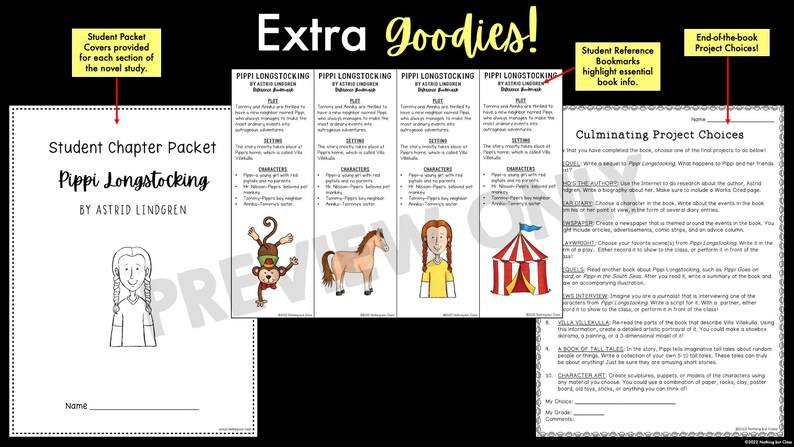 Pippi Longstocking Novel Study Unit | Literature Guide | Comprehension ...