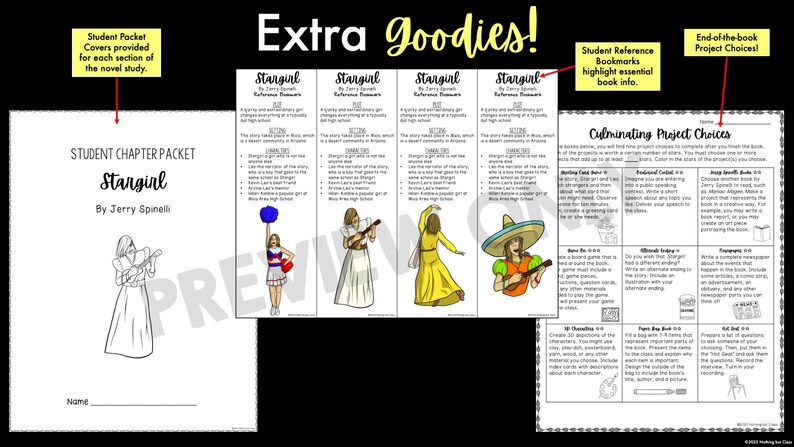 Stargirl Novel Study Unit Literature Guide Comprehension Worksheets ...