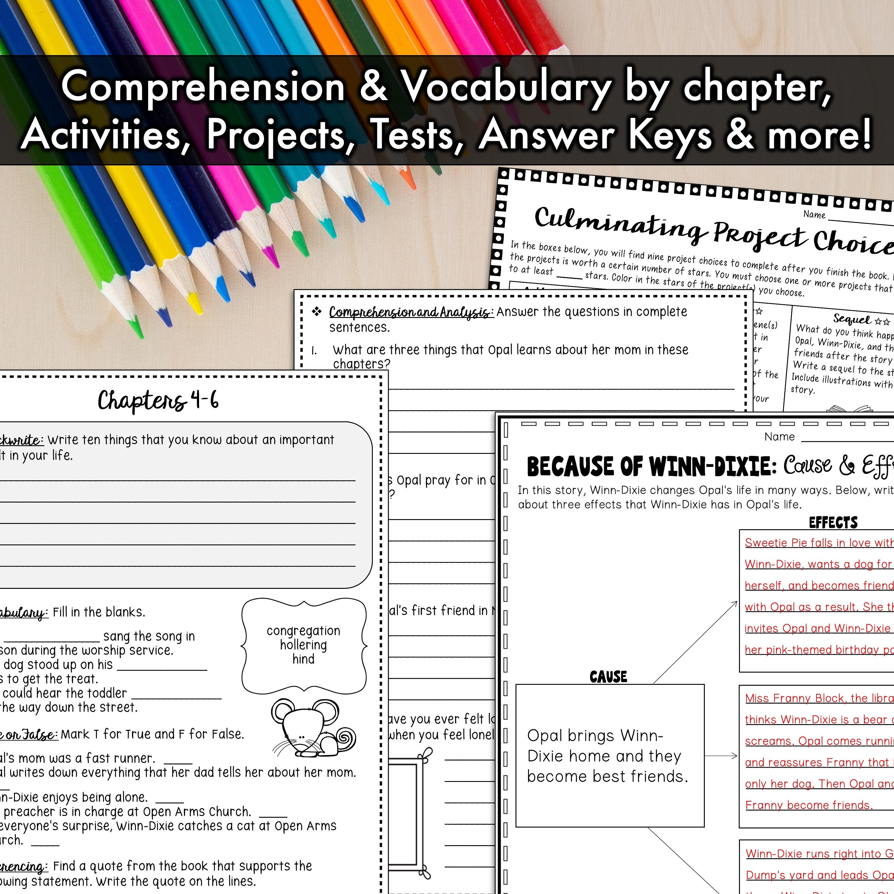 Because of Winn-dixie Novel Study Unit | Literature Guide ...
