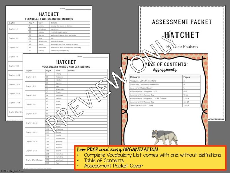 Hatchet - Tests | Quizzes | Assessments for Novel Study - Etsy
