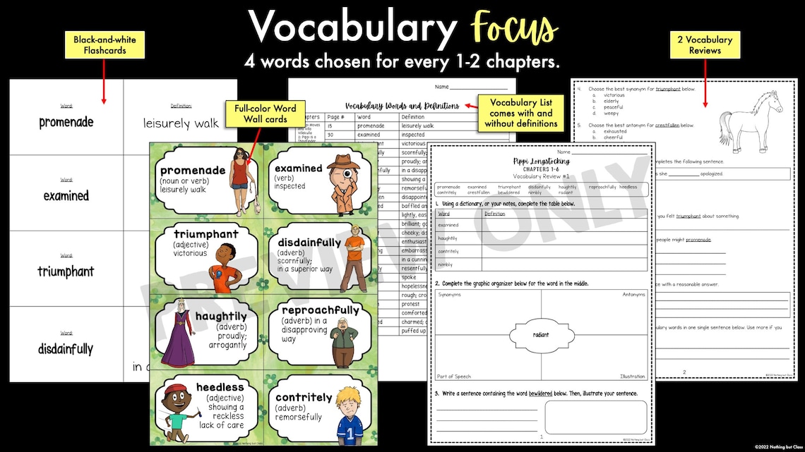 Pippi Longstocking Novel Study Unit | Literature Guide | Comprehension ...