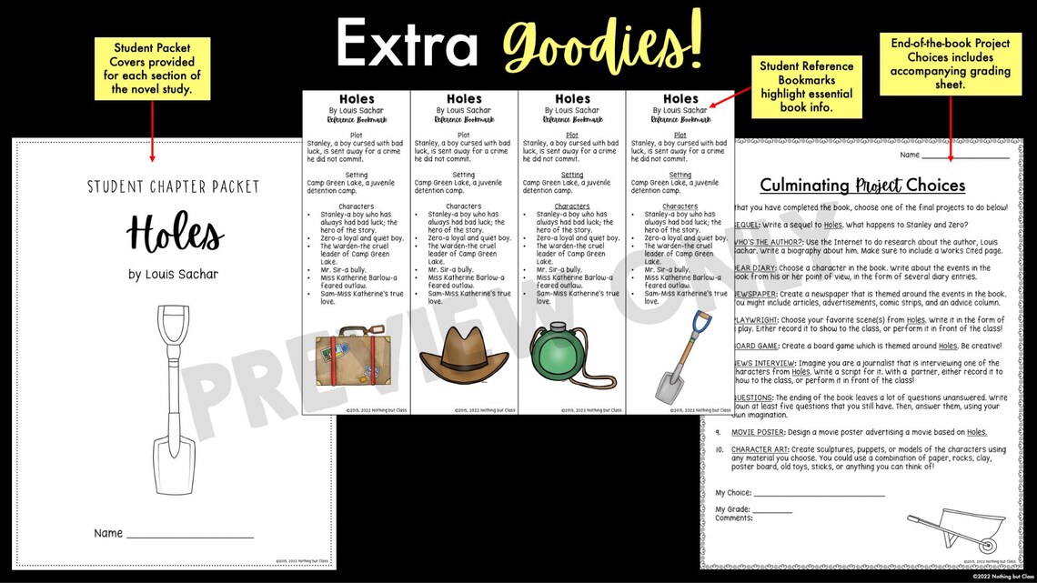 Holes Novel Study Unit | Literature Guide | Comprehension Worksheets ...