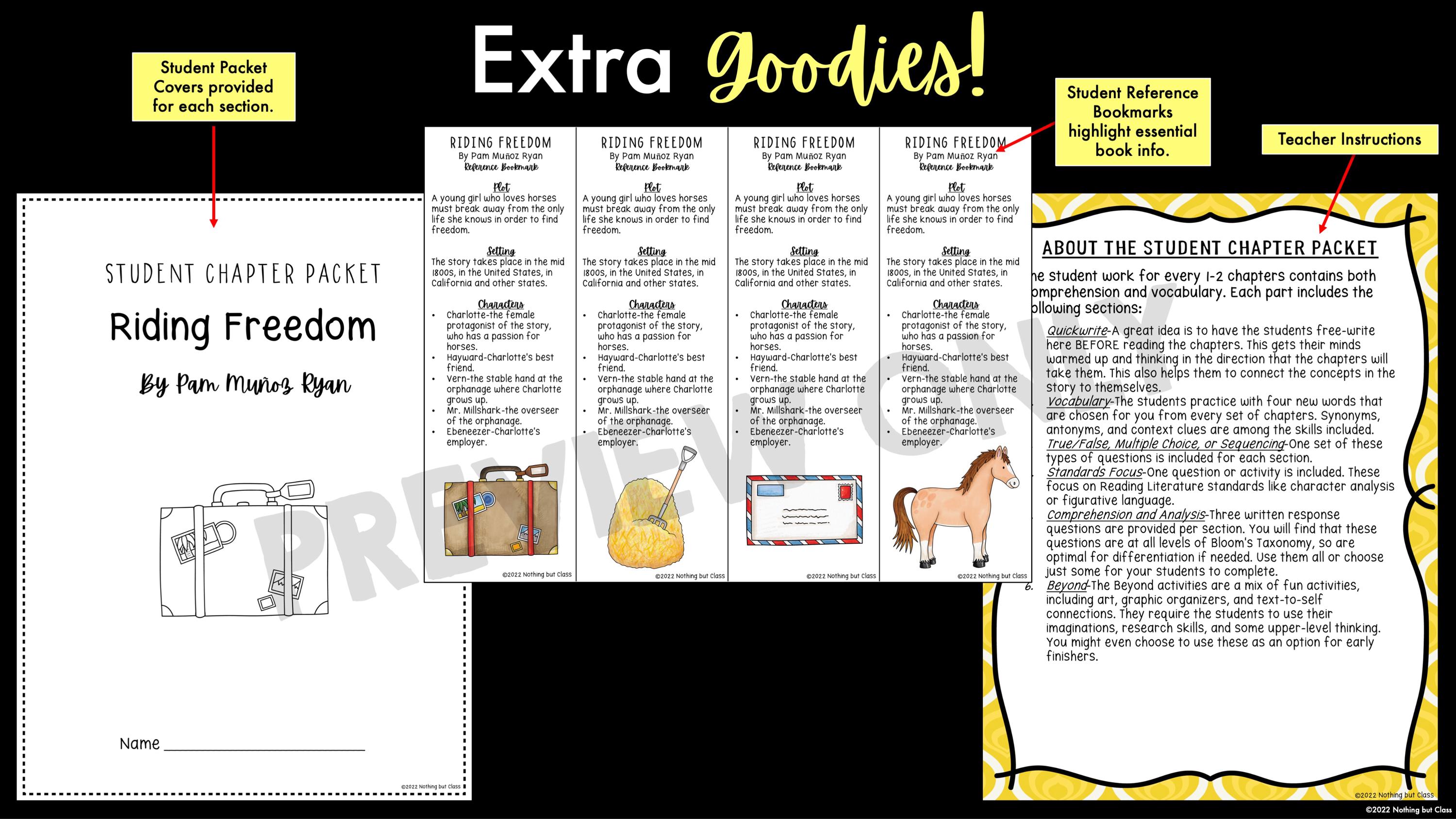 Riding Freedom | Comprehension and Vocabulary by Chapter | Guided ...