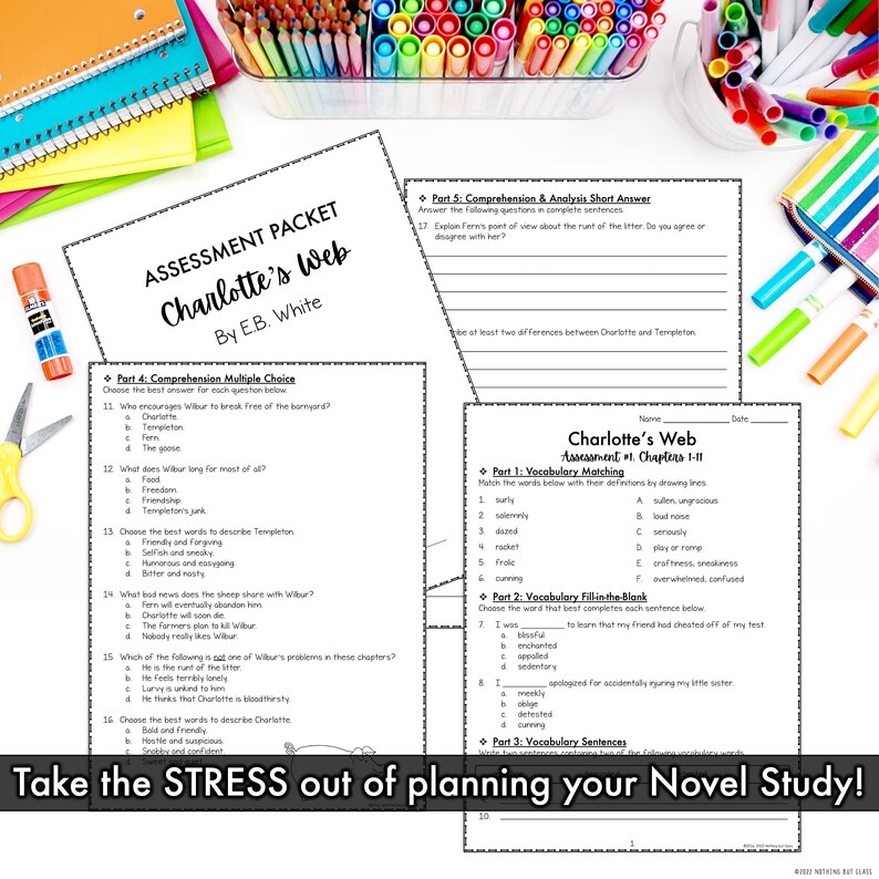 Charlotte's Web Tests | Quizzes | Assessments - Etsy