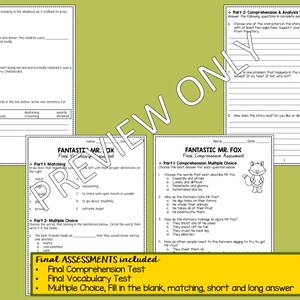 Fantastic Mr. Fox - Tests | Quizzes | Assessments for Novel Study - Etsy