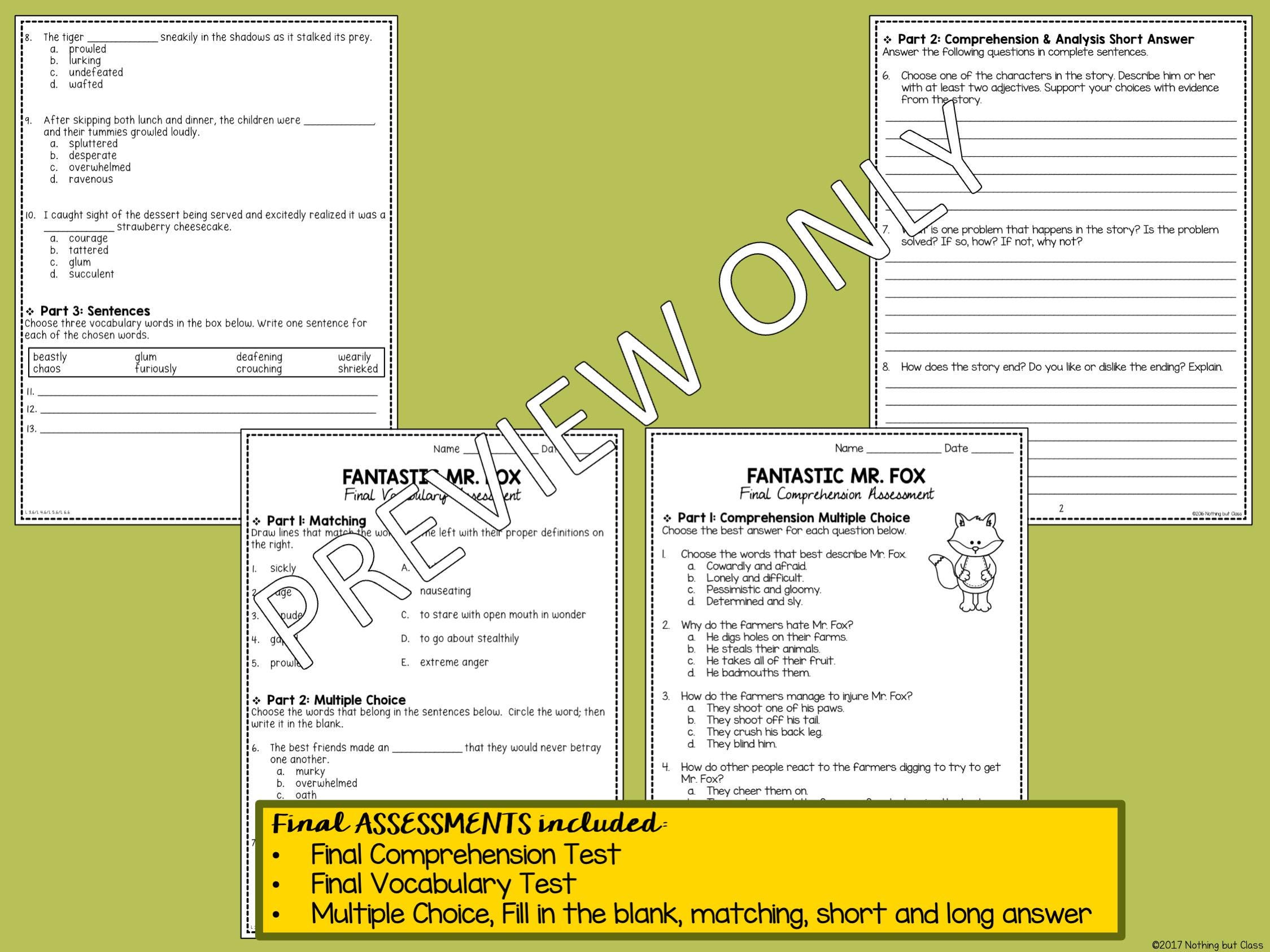 Fantastic Mr. Fox Tests Quizzes Assessments for Novel Study - Etsy