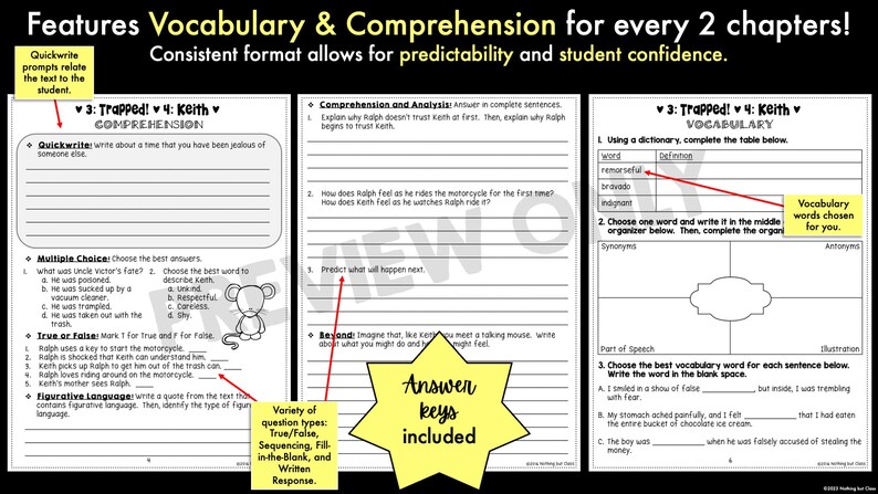 The Mouse and the Motorcycle Novel Study Unit Literature Guide ...
