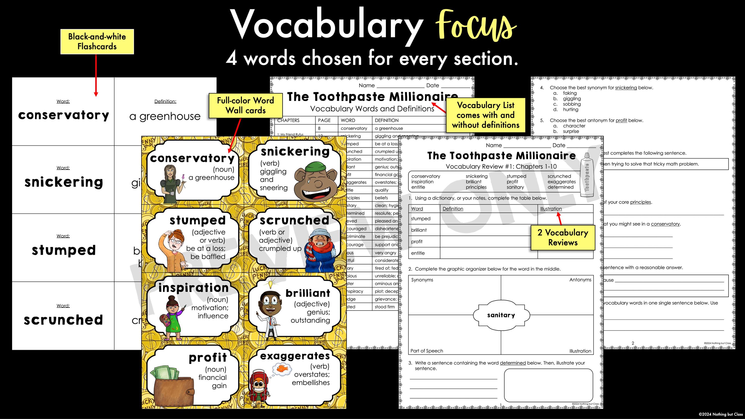 The Toothpaste Millionaire | Comprehension and Vocabulary by Chapter ...
