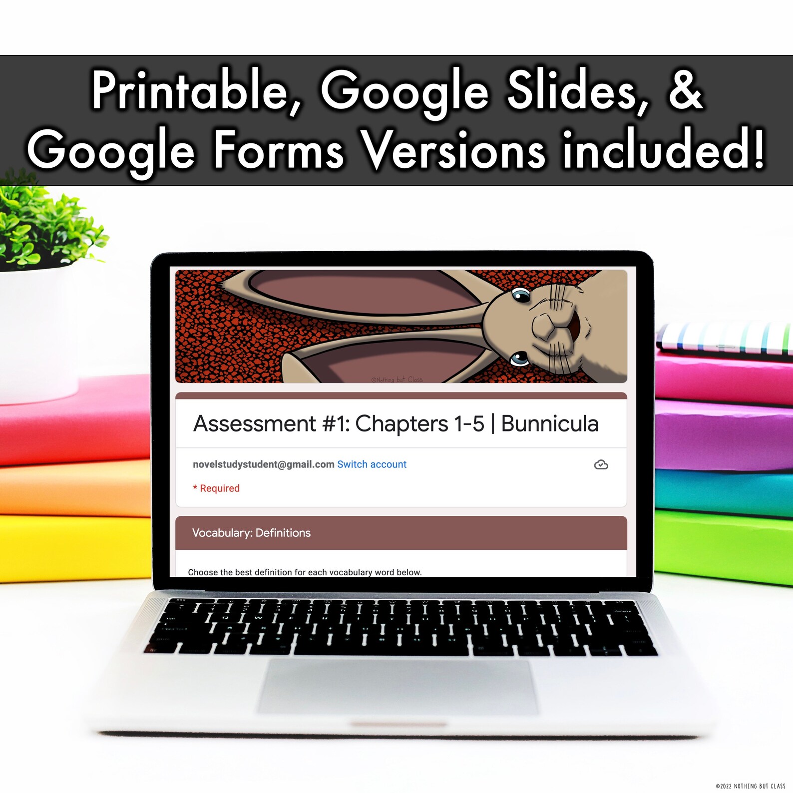 Bunnicula Tests | Quizzes | Assessments - Printables for Homeschool or ...