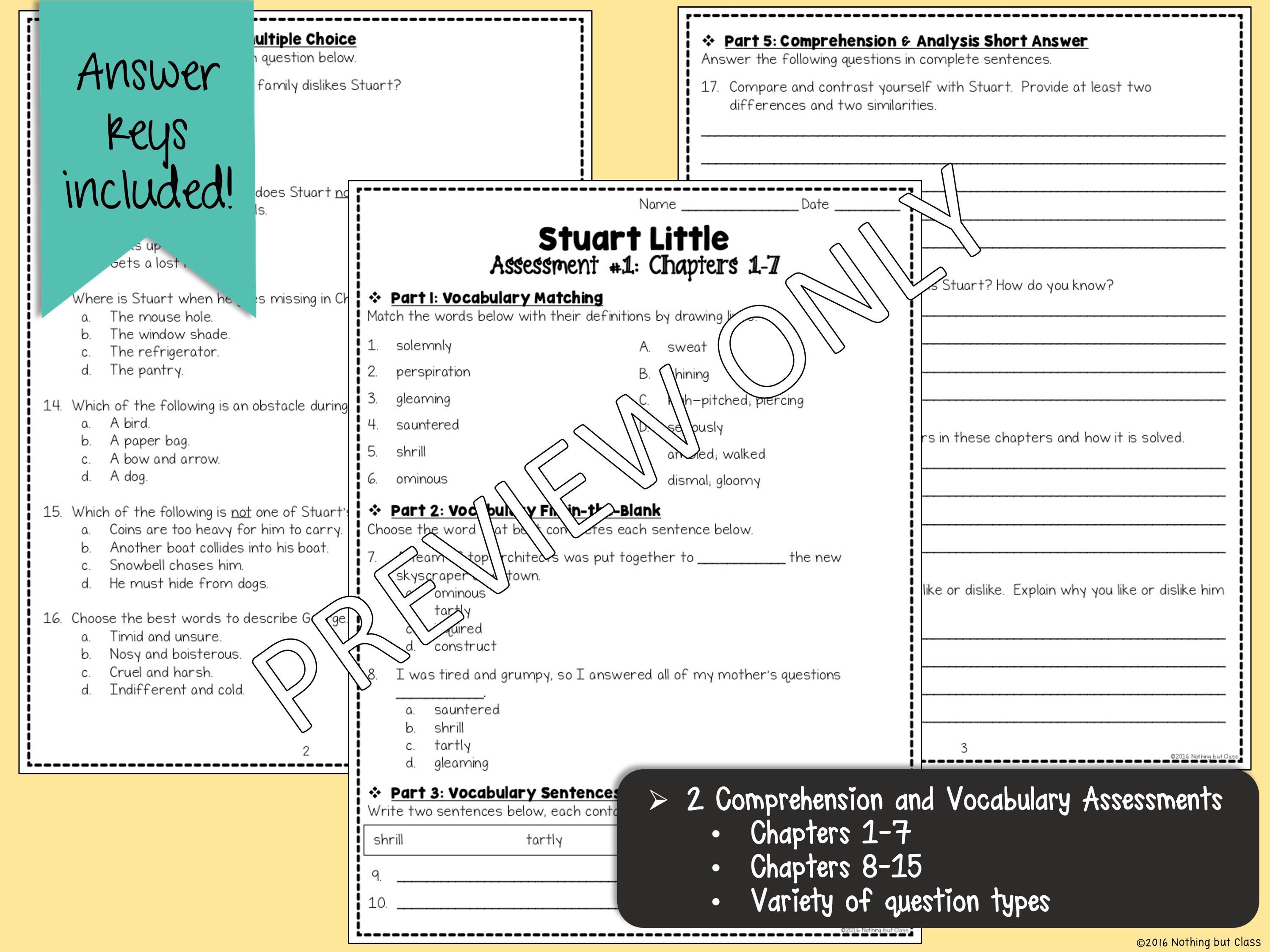 Stuart Little - Tests | Quizzes | Assessments for Novel Study - Etsy