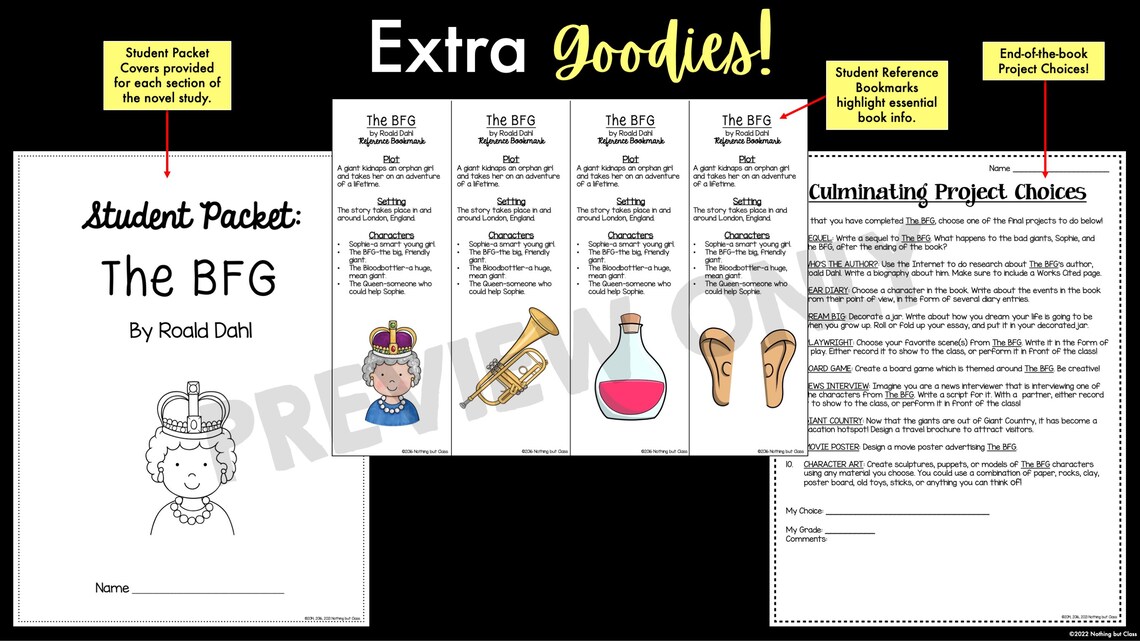 The BFG Novel Study Unit Literature Guide Comprehension Worksheets ...