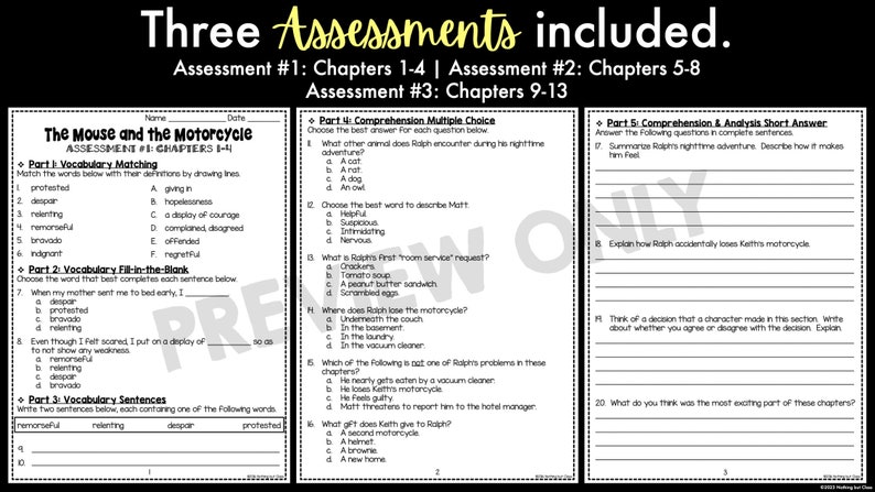 The Mouse and the Motorcycle Novel Study Unit | Literature Guide ...
