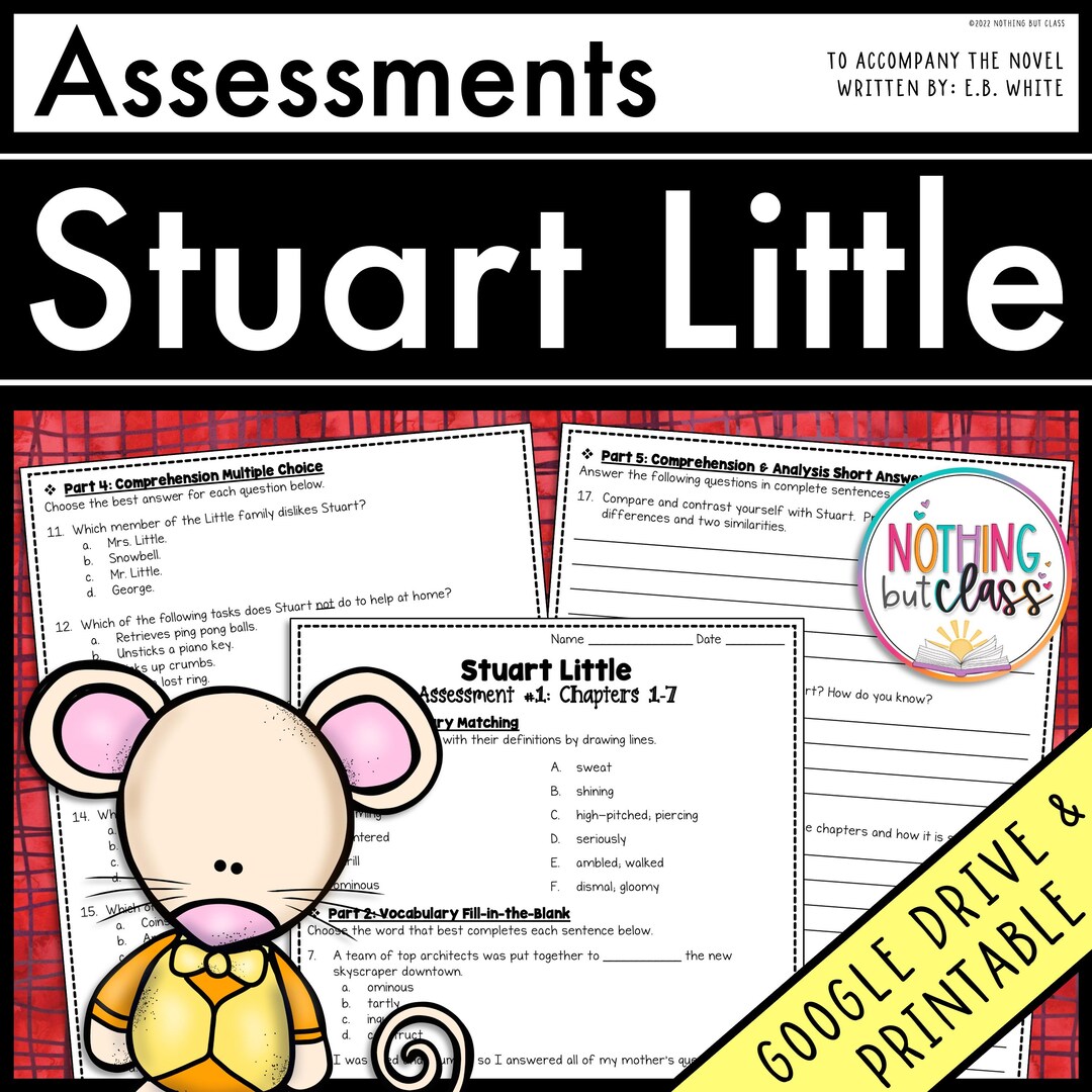 Stuart Little - Tests | Quizzes | Assessments for Novel Study - Etsy