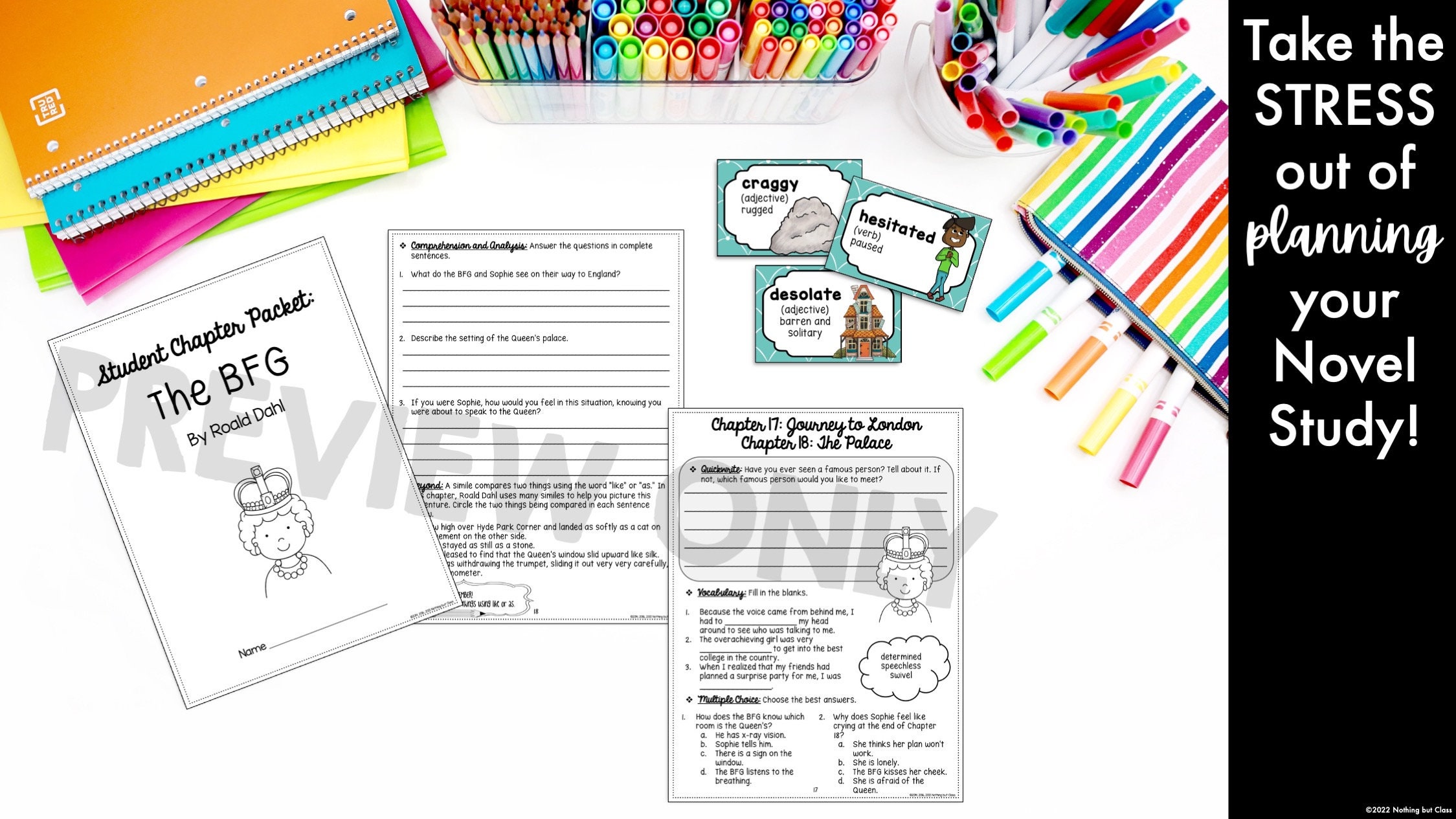 The BFG Comprehension and Vocabulary by Chapter Guided - Etsy