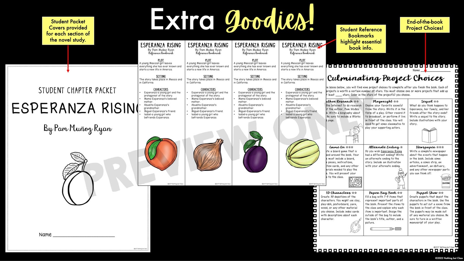 Esperanza Rising Novel Study Unit | Literature Guide | Comprehension ...