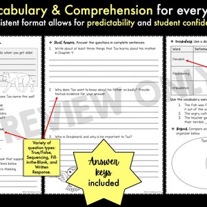 Boy of the Painted Cave | Comprehension and Vocabulary by Chapter ...