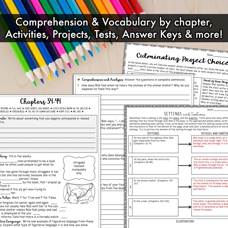 The One and Only Bob Novel Study Unit | Literature Guide ...