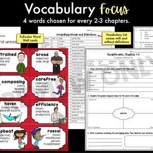 Troublemaker Novel Study Unit | Literature Guide | Comprehension ...