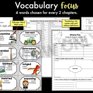 Stone Fox Novel Study Unit | Literature Guide | Comprehension ...