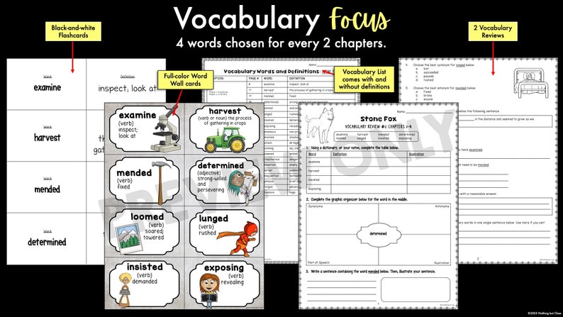 Stone Fox Novel Study Unit | Literature Guide | Comprehension ...