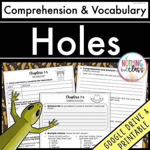 Holes | Comprehension and Vocabulary by Chapter | Guided Reading ...