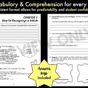 The Witches Novel Study Unit | Literature Guide | Comprehension ...