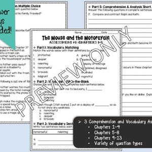 The Mouse and the Motorcycle - Tests | Quizzes | Assessments for Novel ...