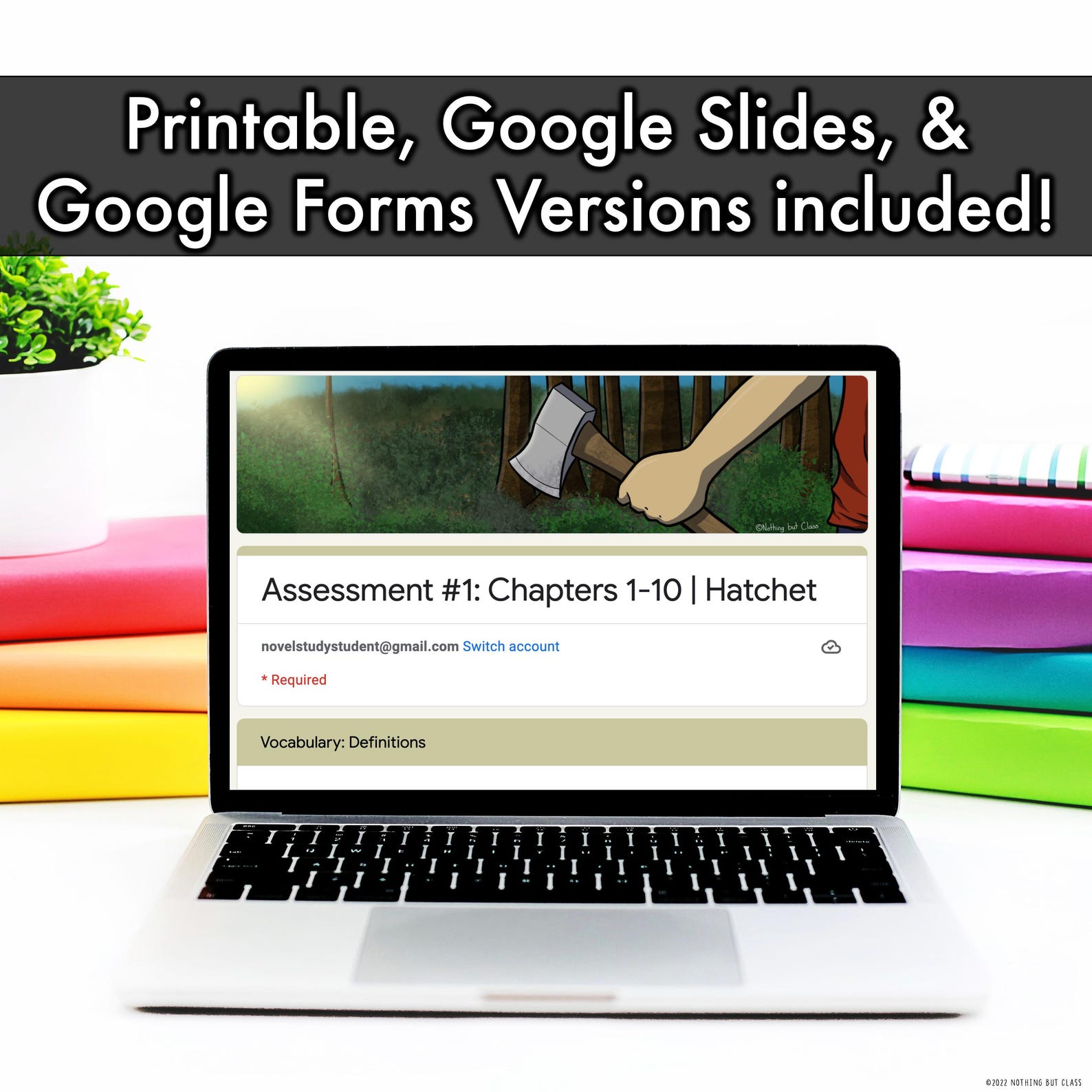 Hatchet - Tests | Quizzes | Assessments for Novel Study - Etsy