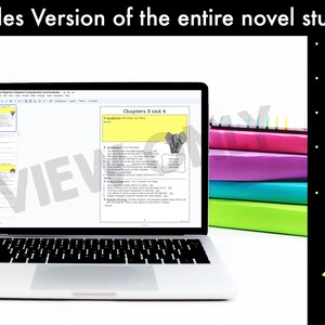 The Magician's Elephant Novel Study Unit | Literature Guide ...