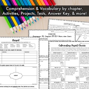 Stargirl Novel Study Unit | Literature Guide | Comprehension Worksheets ...