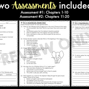 The Magician's Elephant Novel Study Unit | Literature Guide ...