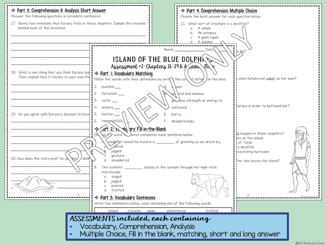 Island of the Blue Dolphins - Tests | Quizzes | Assessments for Novel ...