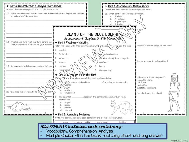 Island of the Blue Dolphins - Tests | Quizzes | Assessments for Novel ...