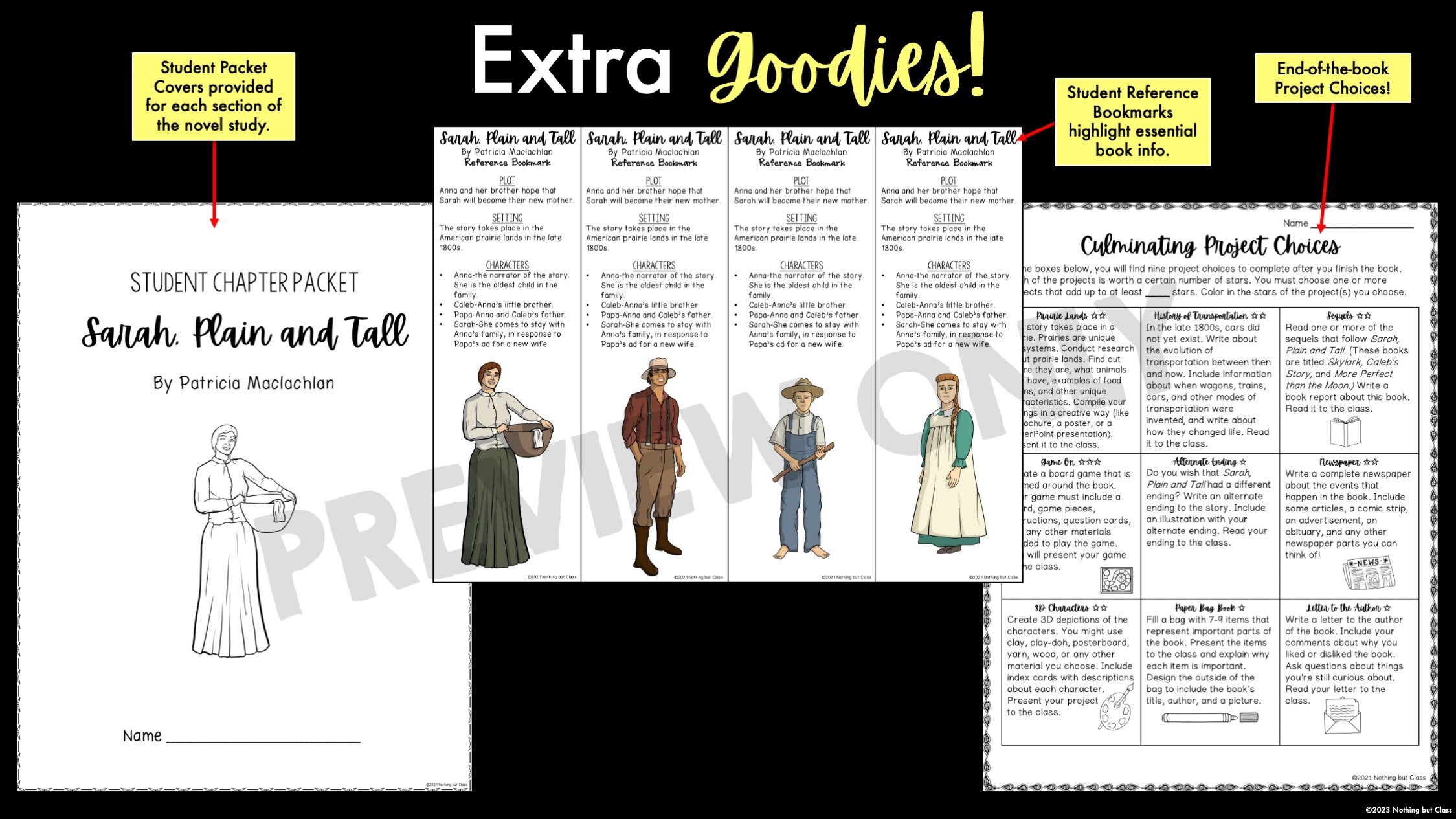 Sarah Plain and Tall Novel Study Unit Literature Guide Comprehension ...