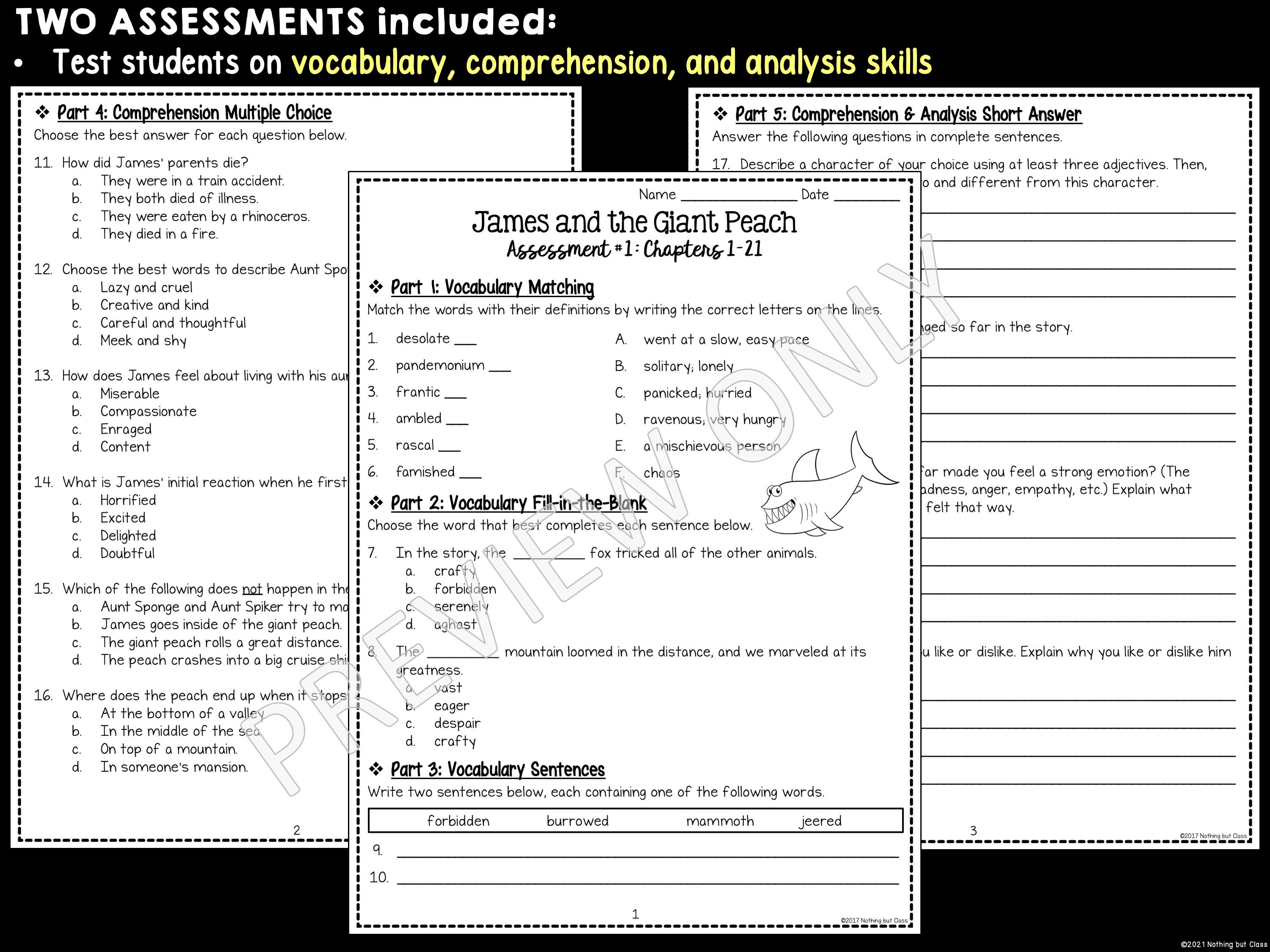 James and the Giant Peach Novel Study Unit Literature Guide ...