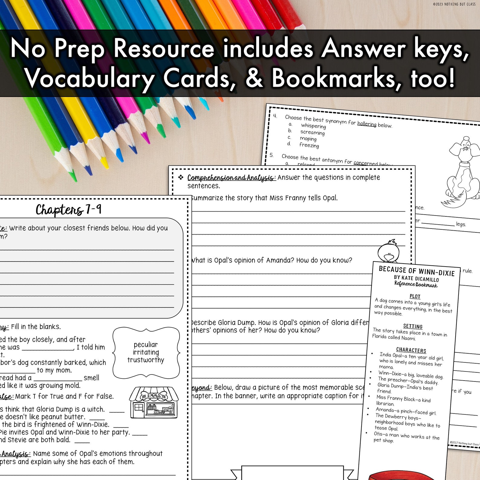 Because of Winn-dixie | Comprehension and Vocabulary by Chapter ...