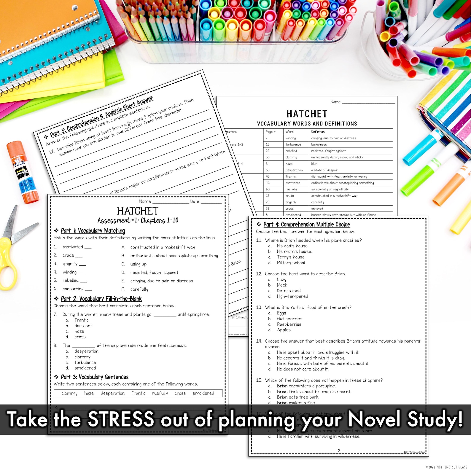 Hatchet - Tests | Quizzes | Assessments for Novel Study - Etsy