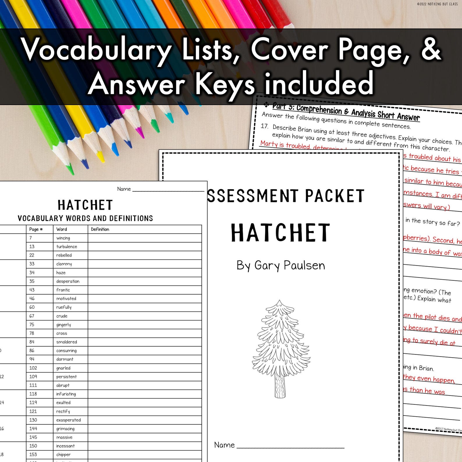 Hatchet - Tests | Quizzes | Assessments for Novel Study - Etsy