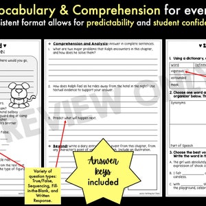 Runaway Ralph Novel Study Unit | Literature Guide | Comprehension ...