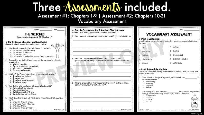The Witches Novel Study Unit | Literature Guide | Comprehension ...