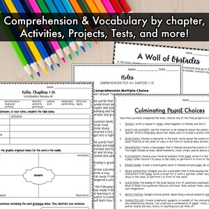 Holes Novel Study Unit | Literature Guide | Comprehension Worksheets ...