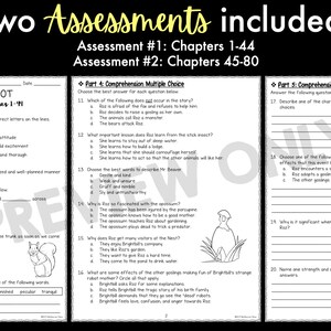 The Wild Robot Novel Study Unit | Literature Guide | Comprehension ...