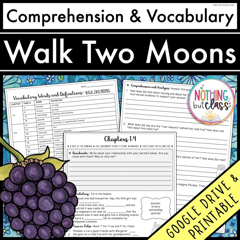 Walk Two Moons | Comprehension and Vocabulary by Chapter | Guided ...