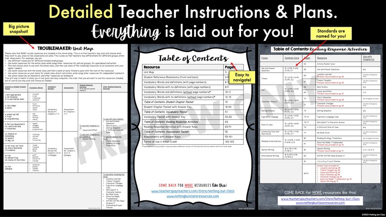 Troublemaker Novel Study Unit | Literature Guide | Comprehension ...
