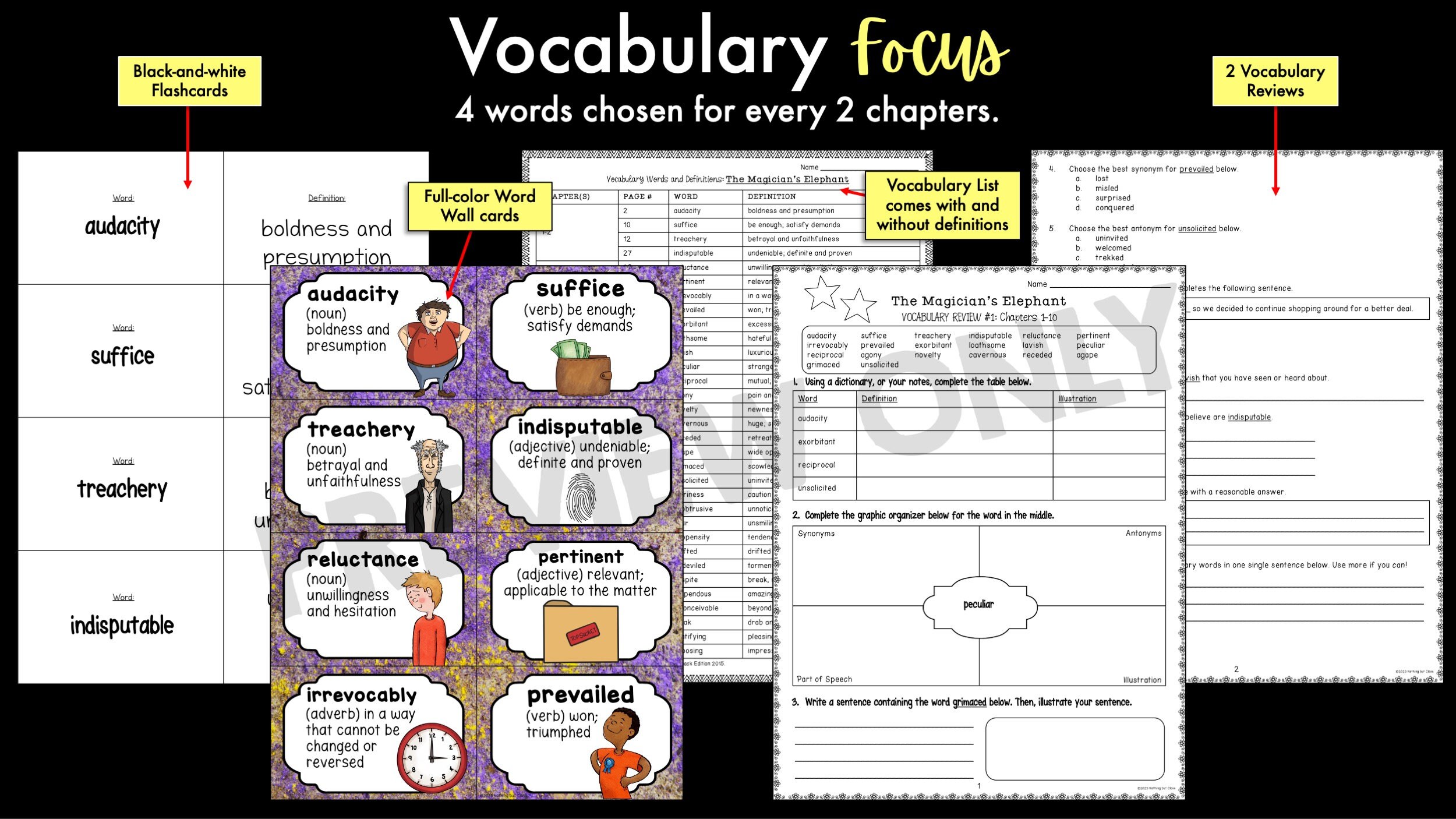 The Magician's Elephant Novel Study Unit Literature Guide Comprehension ...