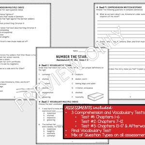 Number the Stars - Tests | Quizzes | Assessments for Novel Study - Etsy